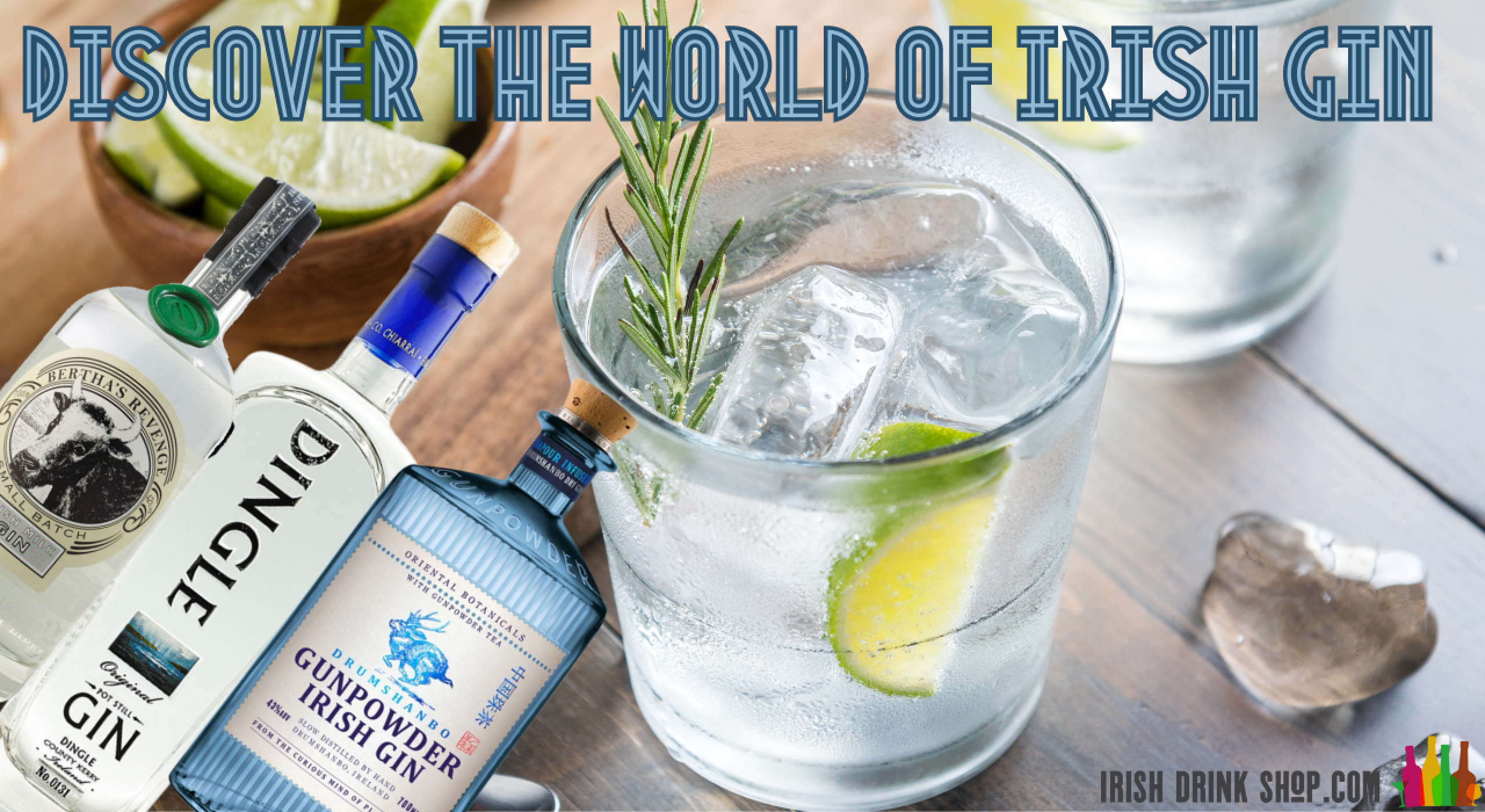 Discover the World of Irish Gin | Irish Drink Shop Blog